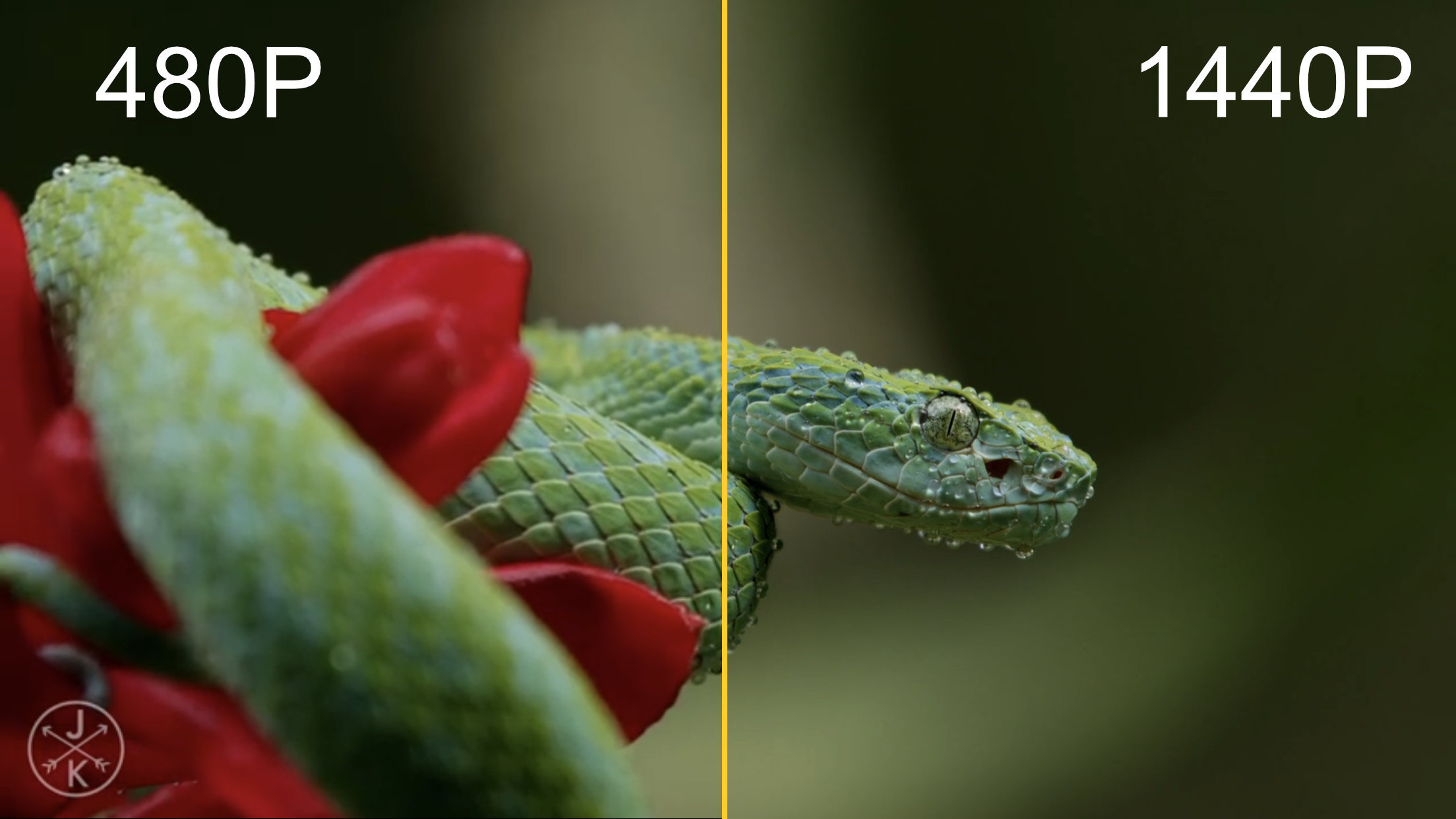 เนื้อหา HD มีเยอะแยะ iPhone พร้อมแล้ว อย่าลืมเลือกเน็ตแรงๆ ไว้รับชม ...