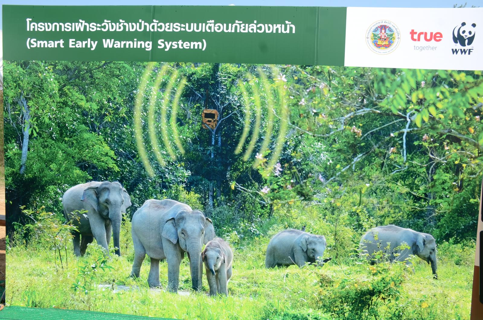 True IoT ครอบคลุมทุกด้านการใช้ชีวิตกับทรู ในโลกแห่ง IoT ใช้ได้จริงทั่วไทย