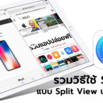 รวมวิธีการใช้ Safari 2 หน้าจอ แบบ Split View ง่ายๆ บน iPad | techfeedthai