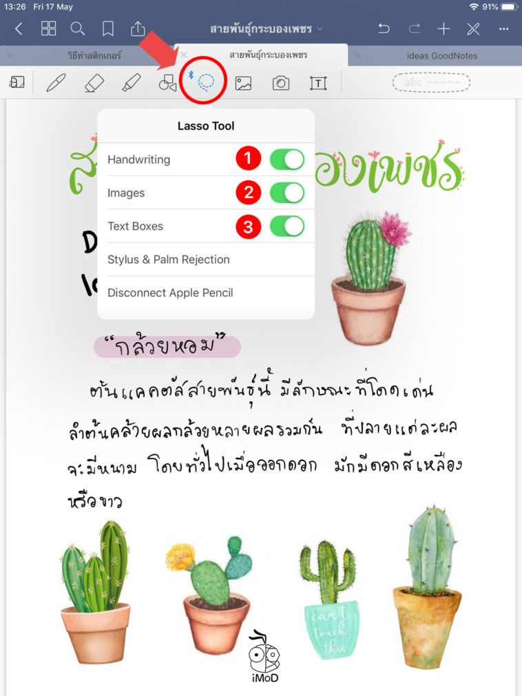 มารู้จักกับเครื่องมือ Lasso Tool ใน GoodNotes 5 ว่าทำอะไรได้บ้าง