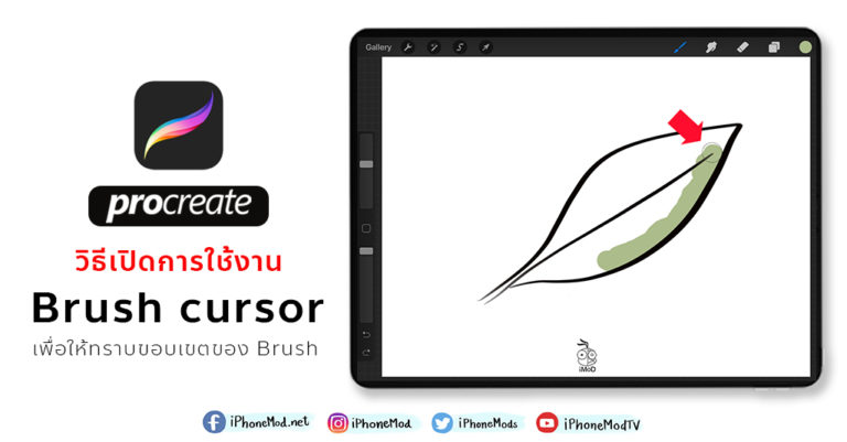 วิธีเปิดการใช้งาน Brush cursor เพื่อให้ทราบขอบเขตของ Brush ในการวาดหรือ ...