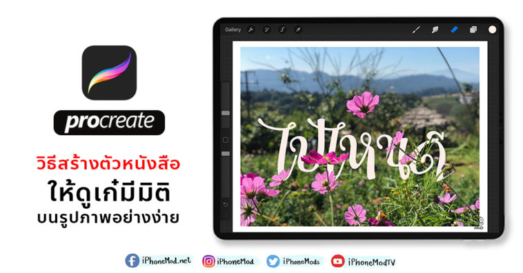 แจกหัวแปรง Brush สวยๆ ฟรี จาก Procreate