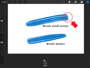 วิธีเปิดการใช้งาน Brush cursor เพื่อให้ทราบขอบเขตของ Brush ในการวาดหรือ ...