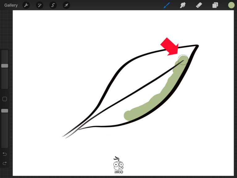 วิธีเปิดการใช้งาน Brush cursor เพื่อให้ทราบขอบเขตของ Brush ในการวาดหรือ ...