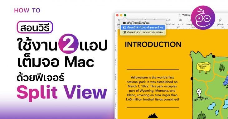 ใช้งาน 2 แอปเต็มจอ Mac ด้วยฟีเจอร์ Split View