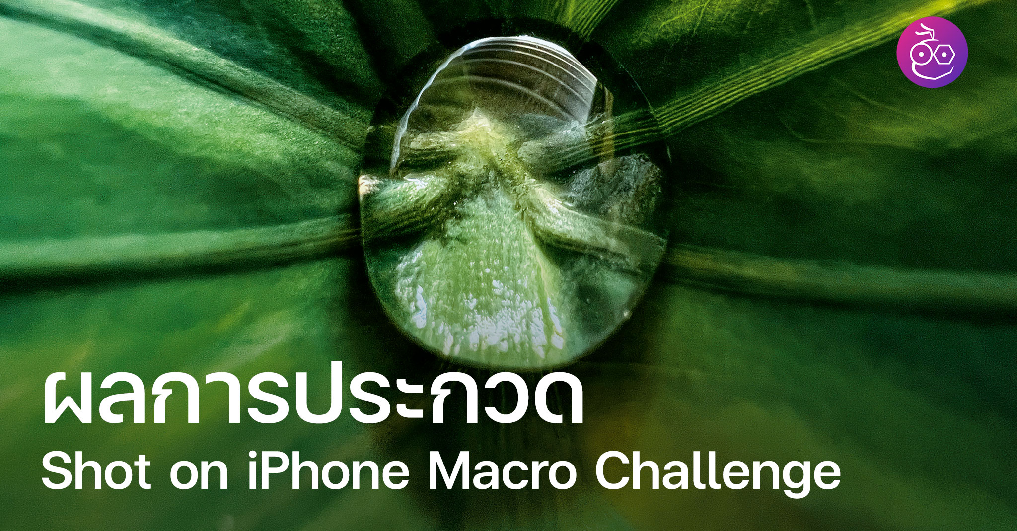 ชม 10 ภาพจากผู้ชนะรางวัล Shot on iPhone Macro Challenge | techfeedthai