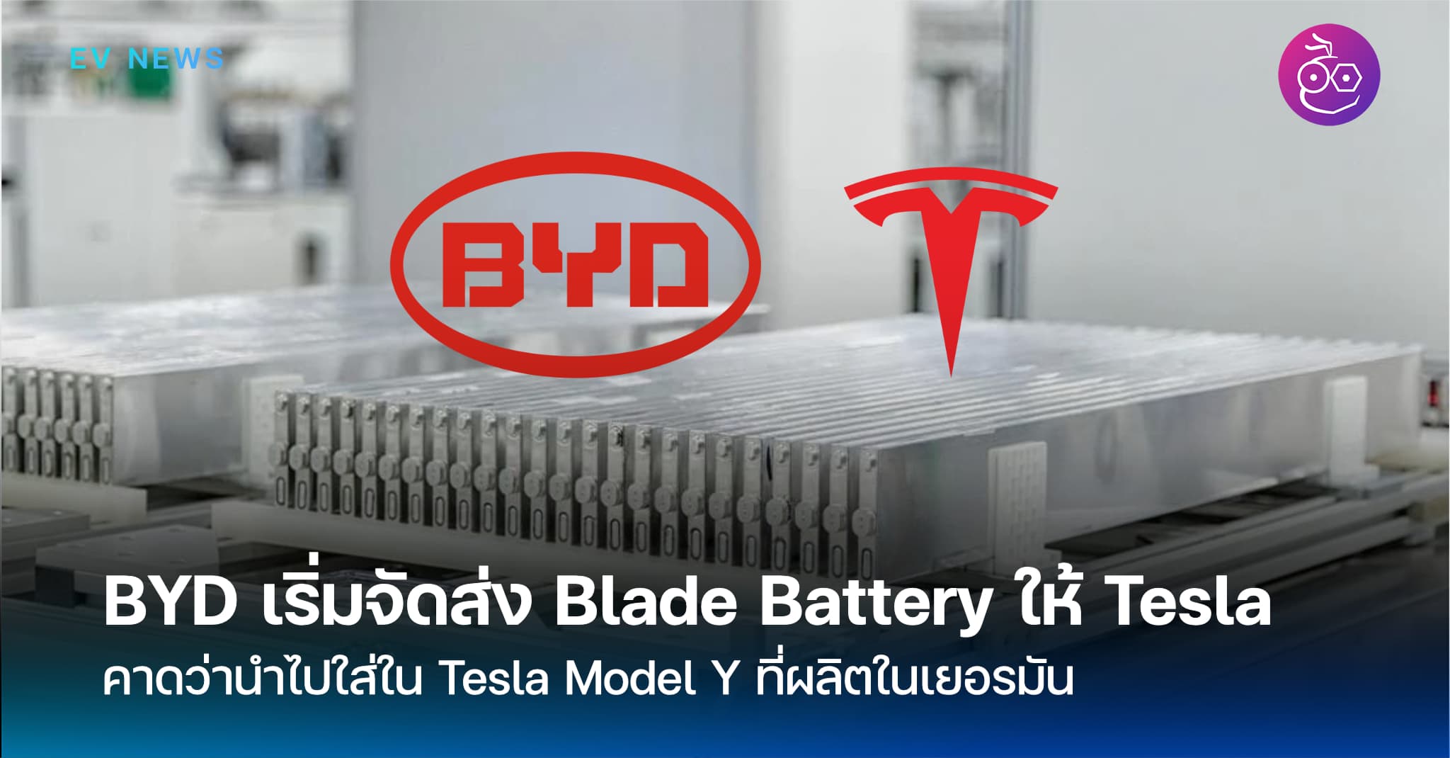 BYD จัดส่ง Blade Battery ให้ Tesla คาดว่านำไปใส่ใน Tesla Model Y ที่ ...