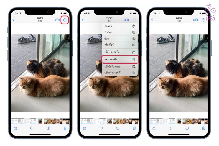 วิธีคัดลอกและแก้ไขรูปภาพในแอป Photos ใน iOS 16