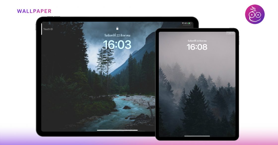 ภาพพื้นหลัง (Wallpaper) "ป่าฝน-Rain forest" สำหรับ iPad จาก Unsplash