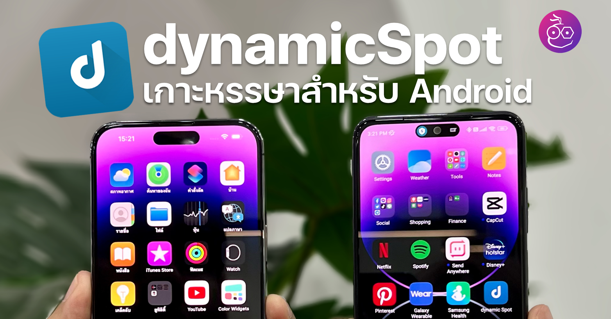 dynamicSpot แอปเกาะหรรษาสำหรับ Android โหลดฟรี! ที่ Play Store | techfeedthai