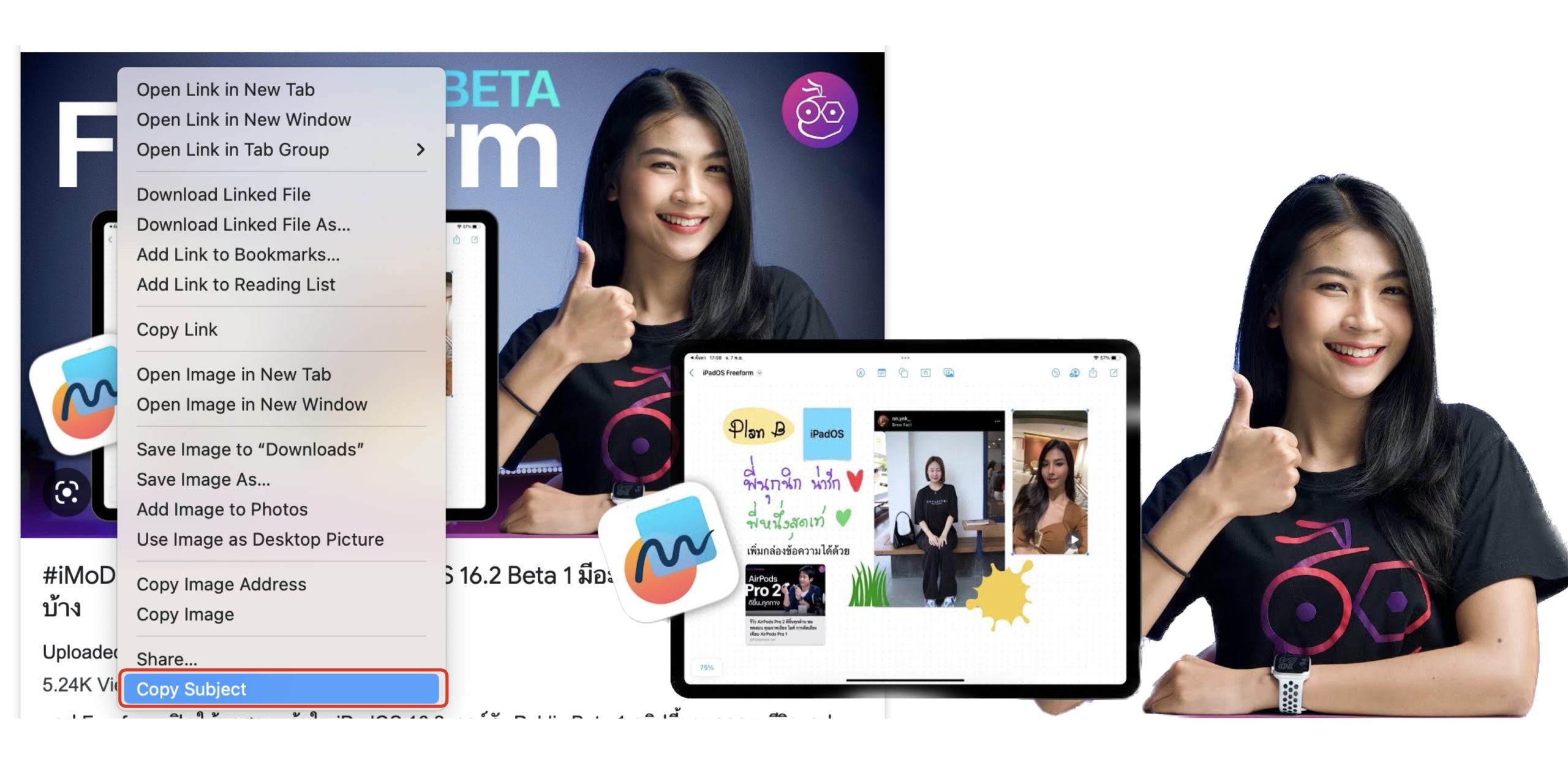 Dicut รูปภาพบนเว็บไซต์ ได้ง่าย ๆ ด้วย Copy Subject ฟีเจอร์ใหม่ใน macOS ...