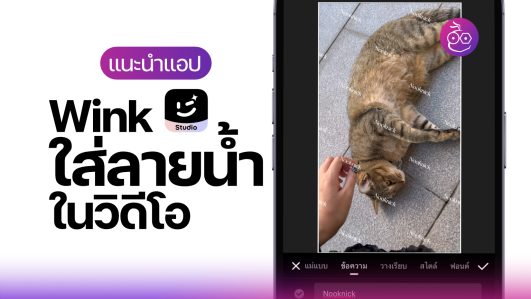 แอปใส่ลายน้ำในวิดีโอ