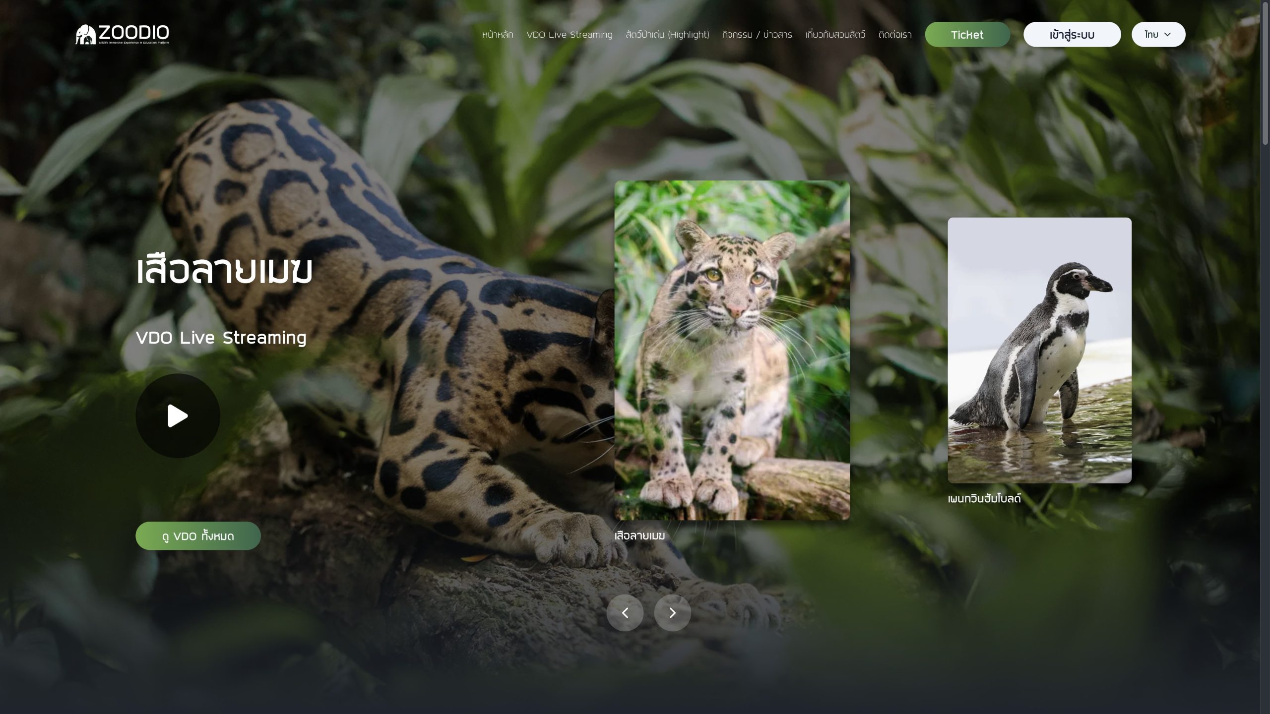 Zoodio เว็บชมสัตว์แบบเรียลไทม์จากสวนสัตว์ในประเทศไทย!