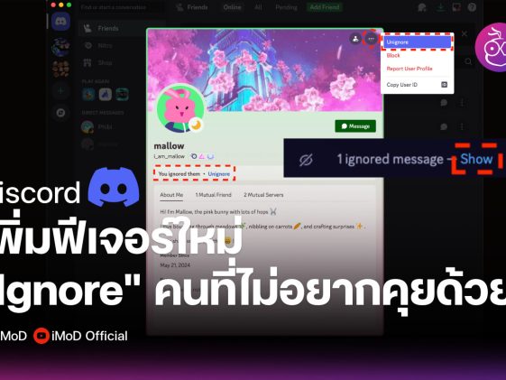 Songtrivia เว็บทายเพลงออนไลน์ เล่นกับเพื่อนได้ทั่วโลก!